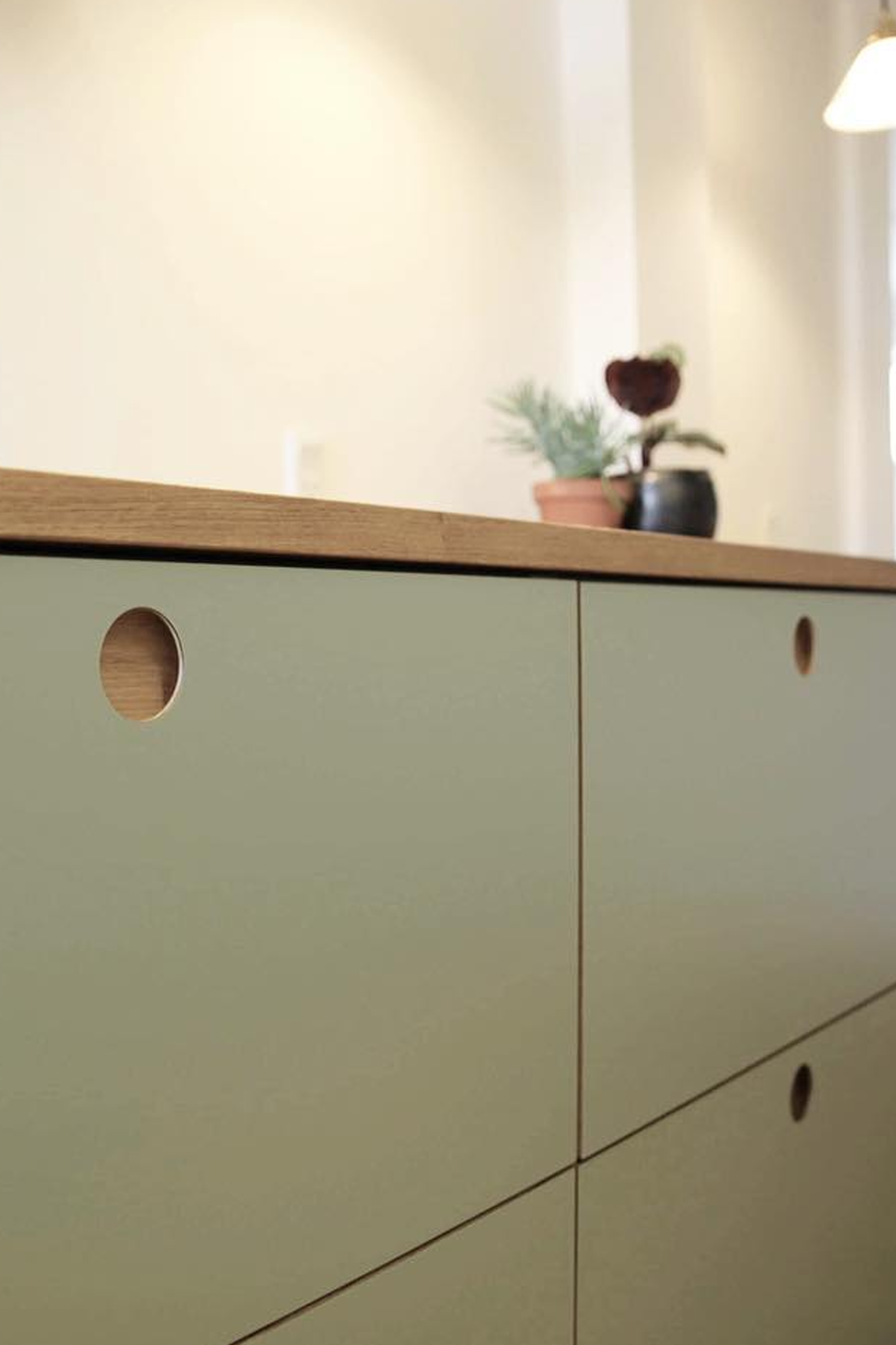 Laminat Fenix - "Pistachio" - "C-Line" - Woodfront